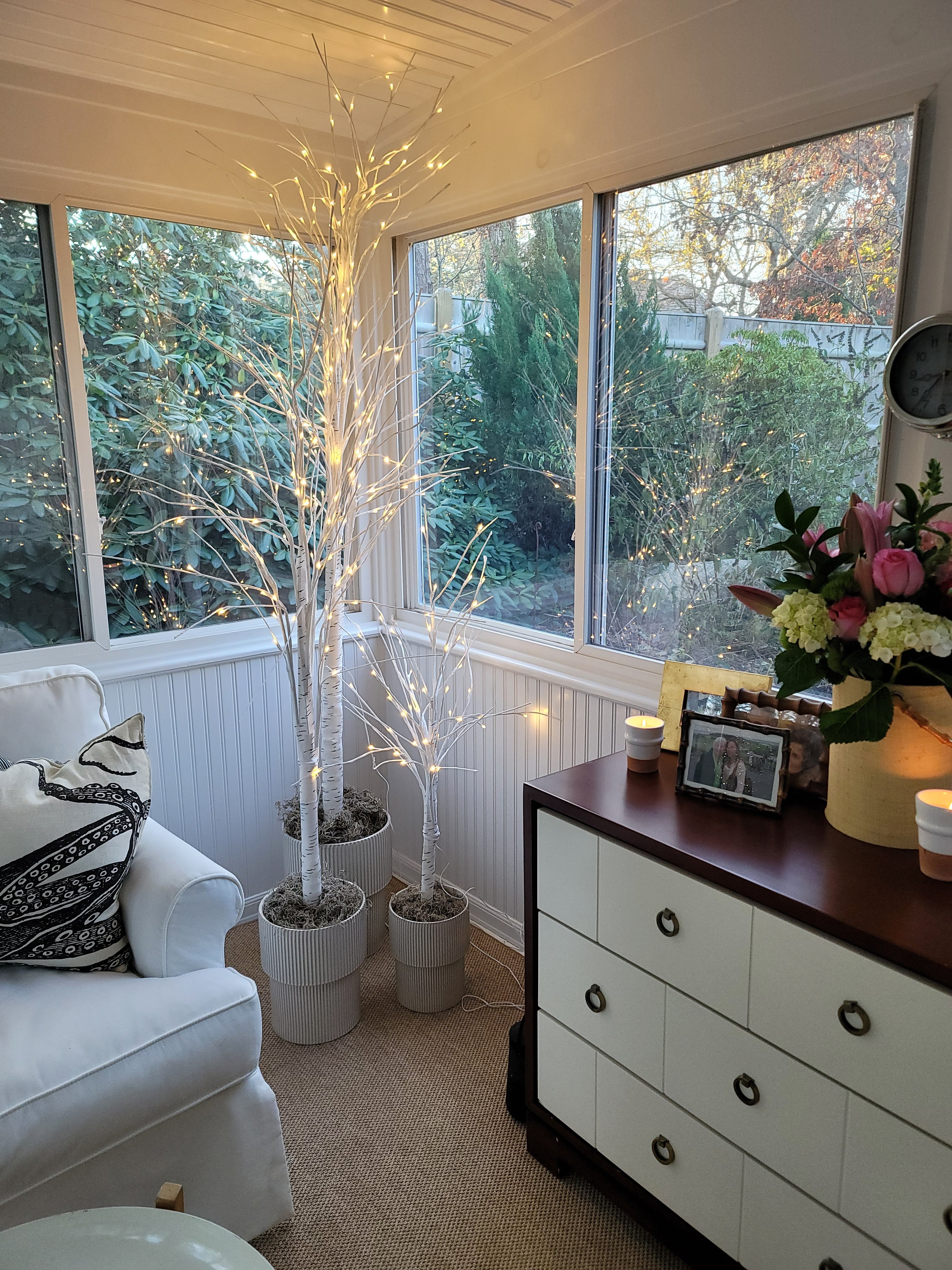 White birch trees – STYLED